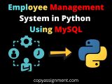 Employee Management System Python Customtkinter Modern Tkinter Project
