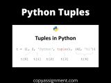 Python Tuples Copyassignment