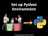 Cat Using Python Turtle Copyassignment