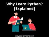 Why Learn Python Explained Copyassignment