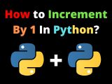 Python Increment By 1 Copyassignment