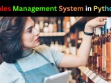 Sales Management System Project In Python Copyassignment
