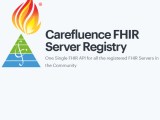 Fhir Registry