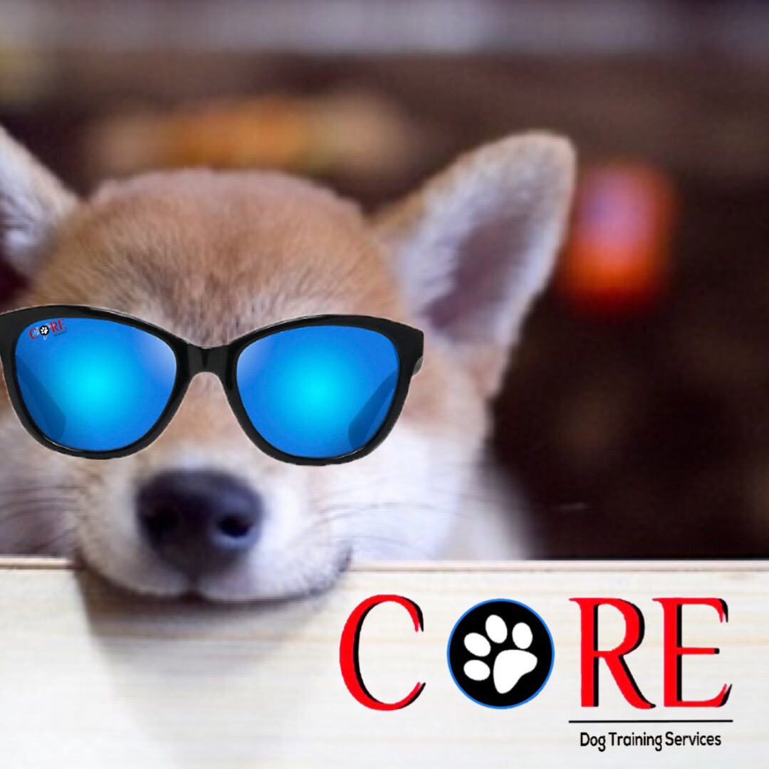 Build-a-dog. Picking the right one for you. * CORE DTS| Dog Training ...