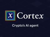 Cortex