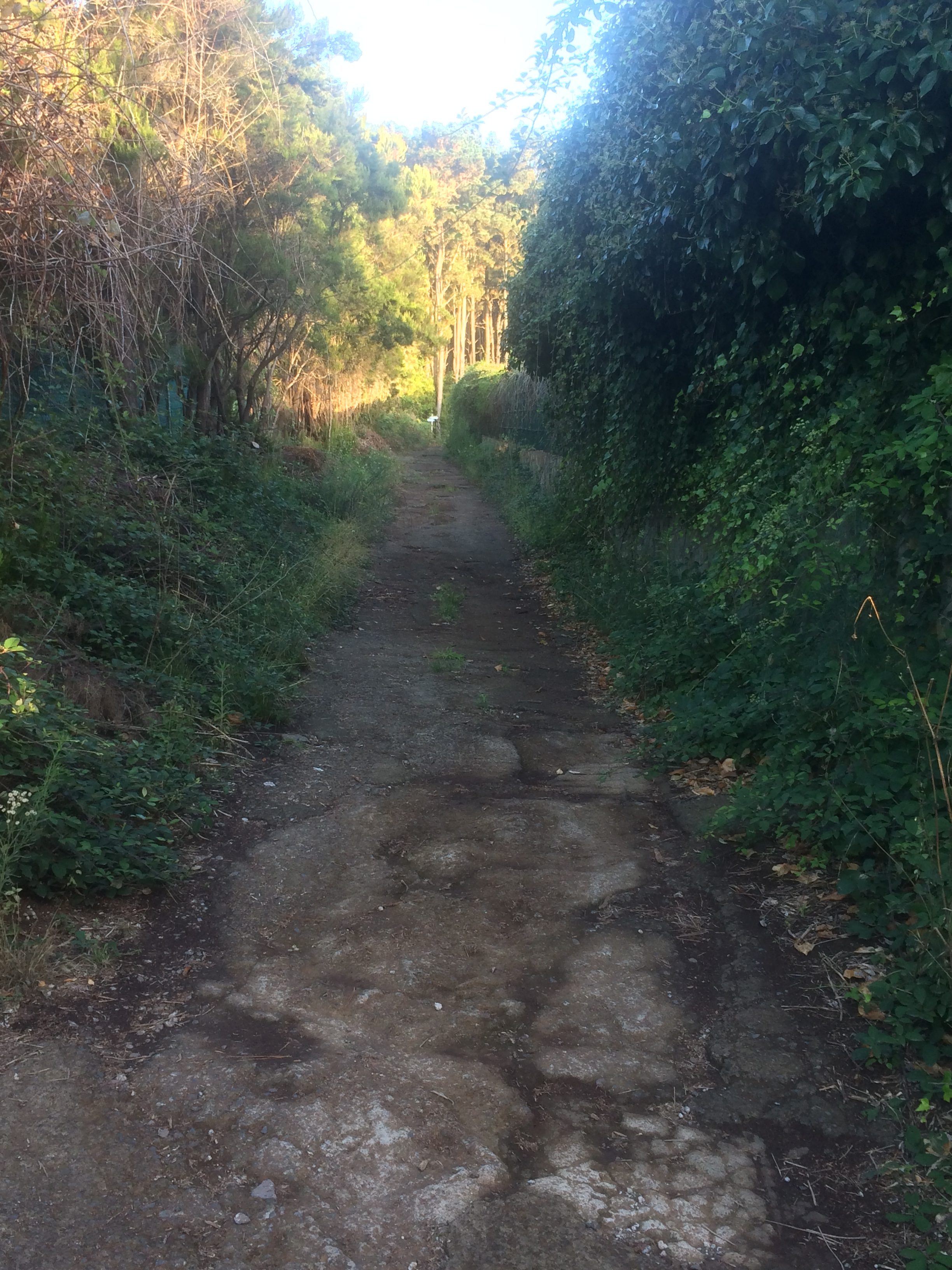 Remote (out of) Control – Cosmic Prose