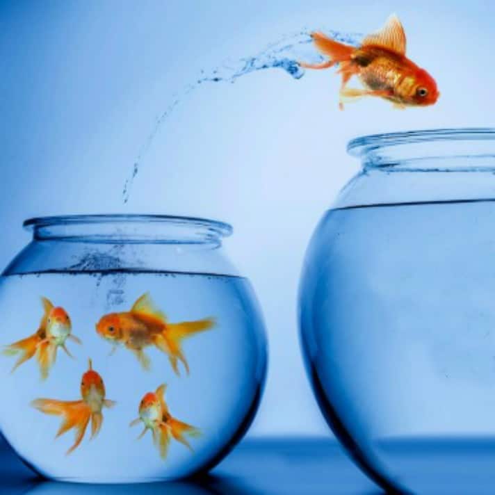 10 Tips to Ease Worry During Times of Transition - Counting My Blessings