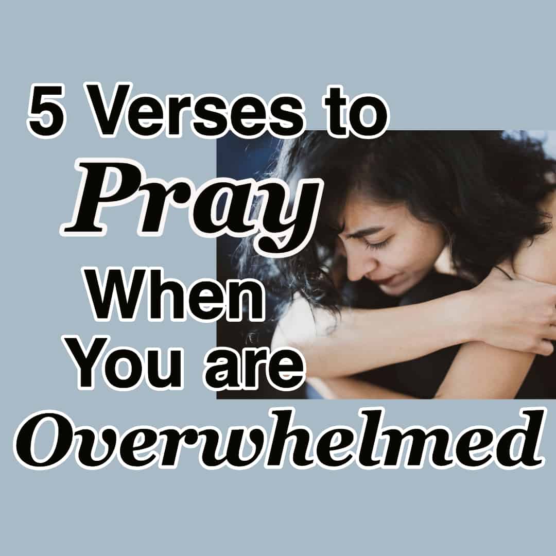 5 Verses to Pray When You Are Overwhelmed - Counting My Blessings