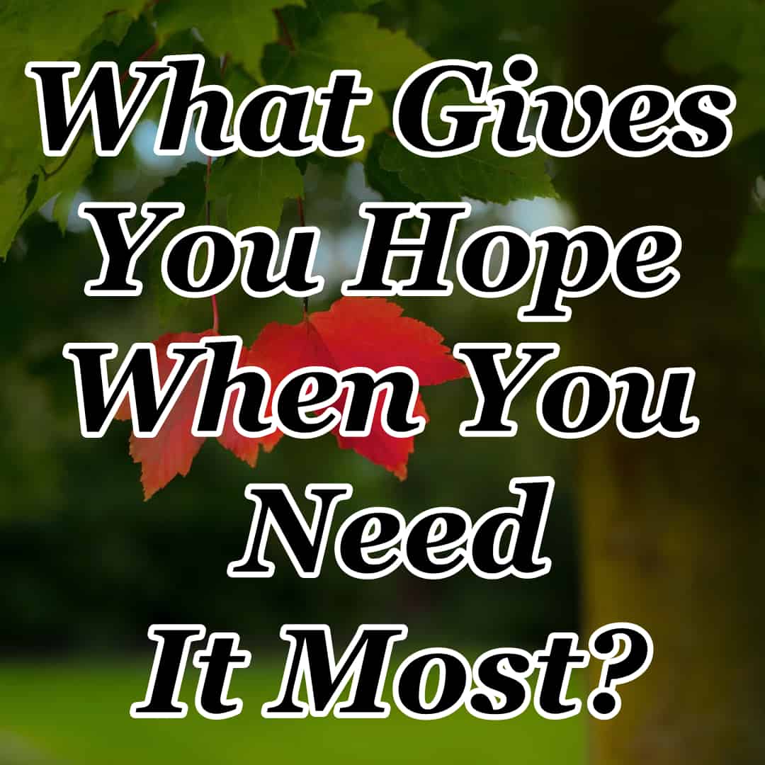 What Gives You Hope When You Need It Most? - Counting My Blessings