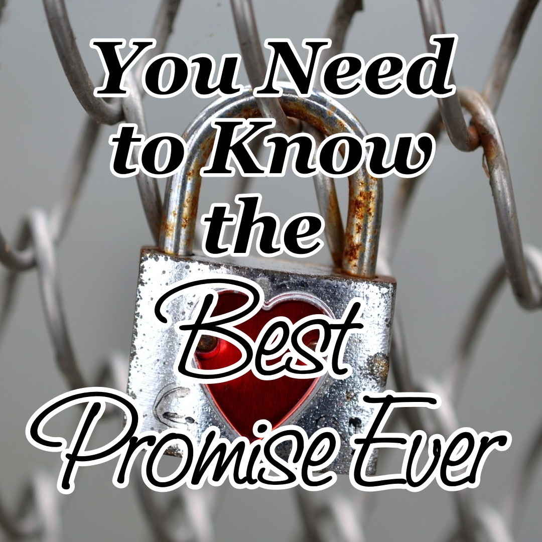 You Need to Know the Best Promise Ever - Counting My Blessings