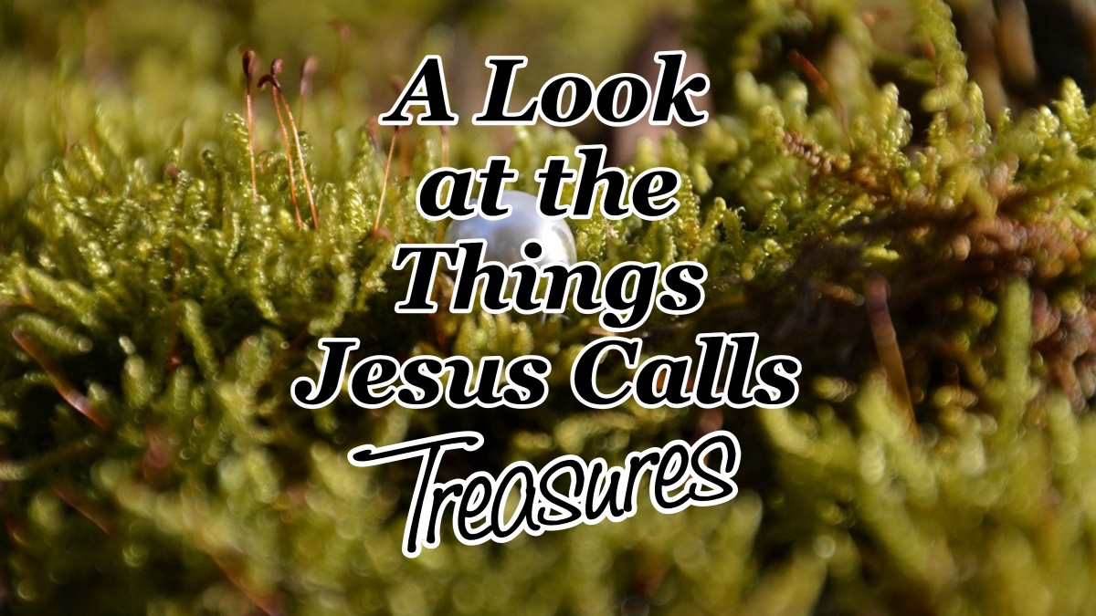 A Look at the Things Jesus Calls Treasures - Counting My Blessings