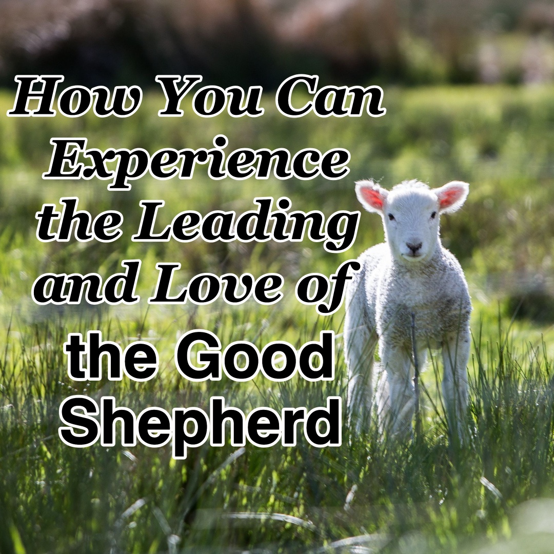 How You Can Experience the Leading and Love of the Good Shepherd ...