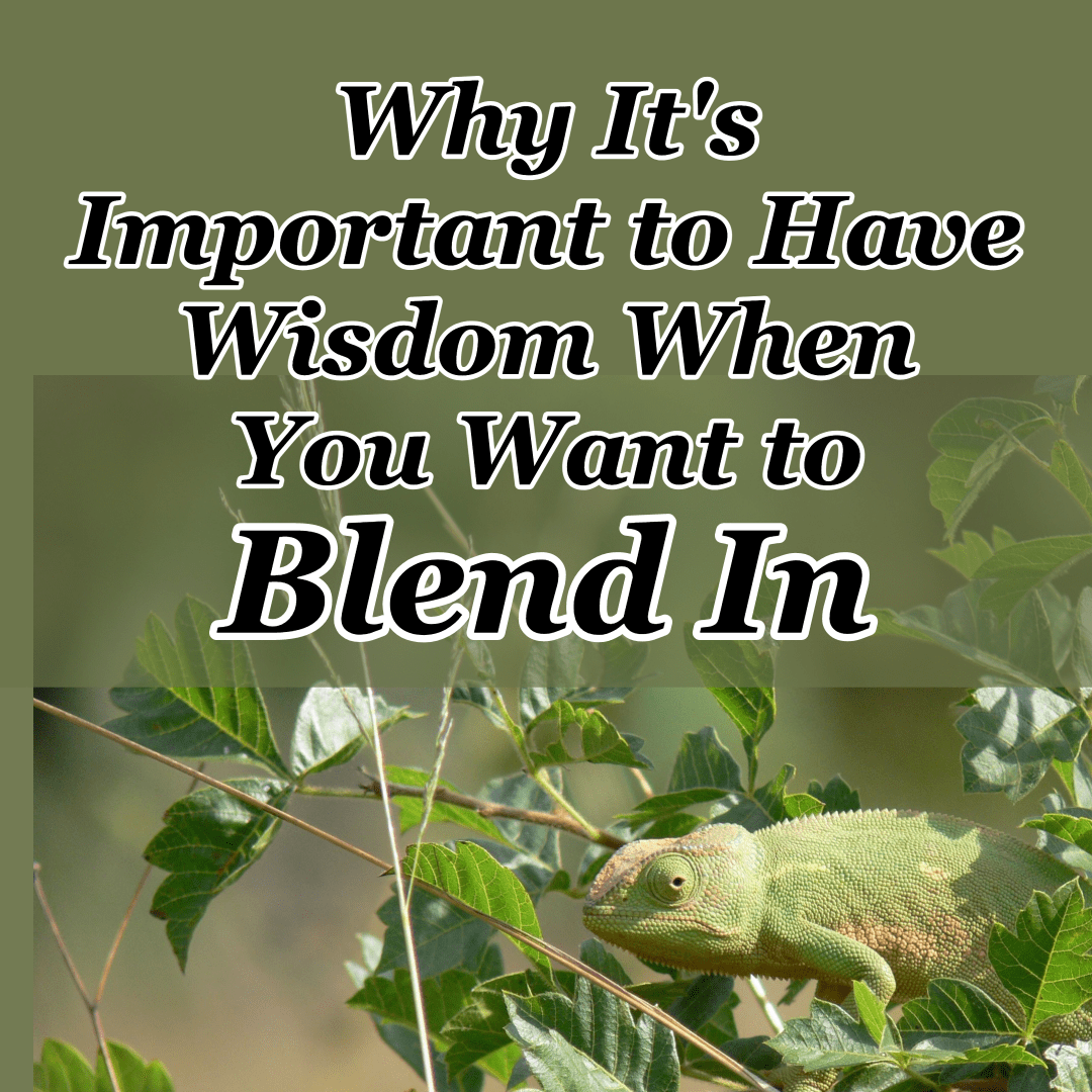 Why It's Important to Have Wisdom When You Want to Blend In - Counting ...