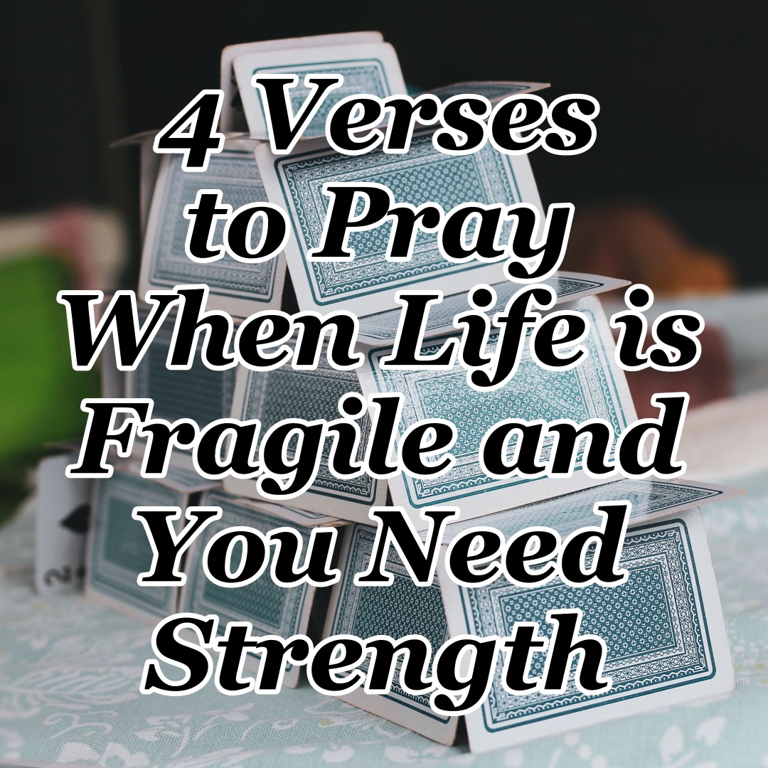 4 Verses to Pray When Life is Fragile and You Need Strength - Counting ...