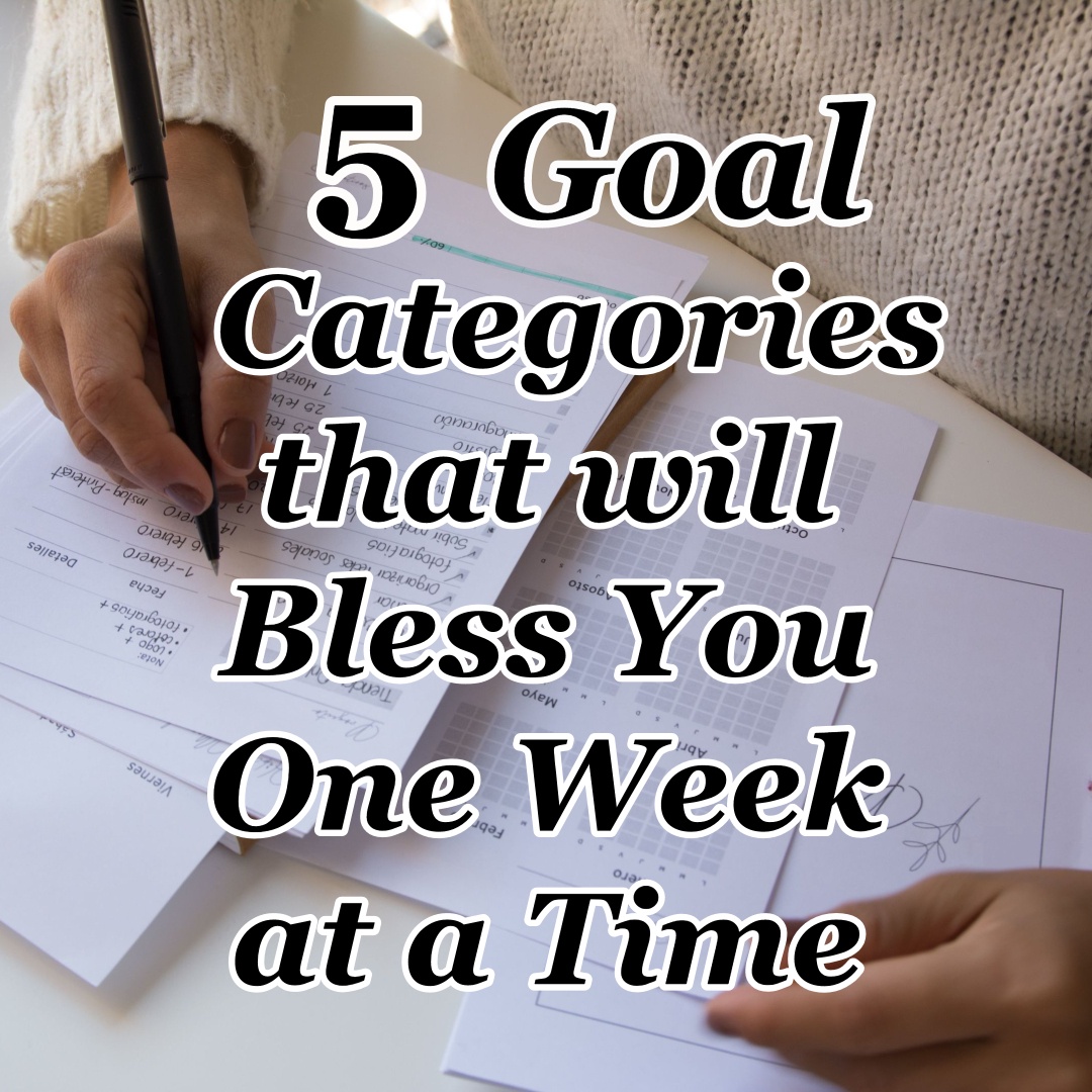 5 Goal Categories that will Bless You One Week at a Time - Counting My ...