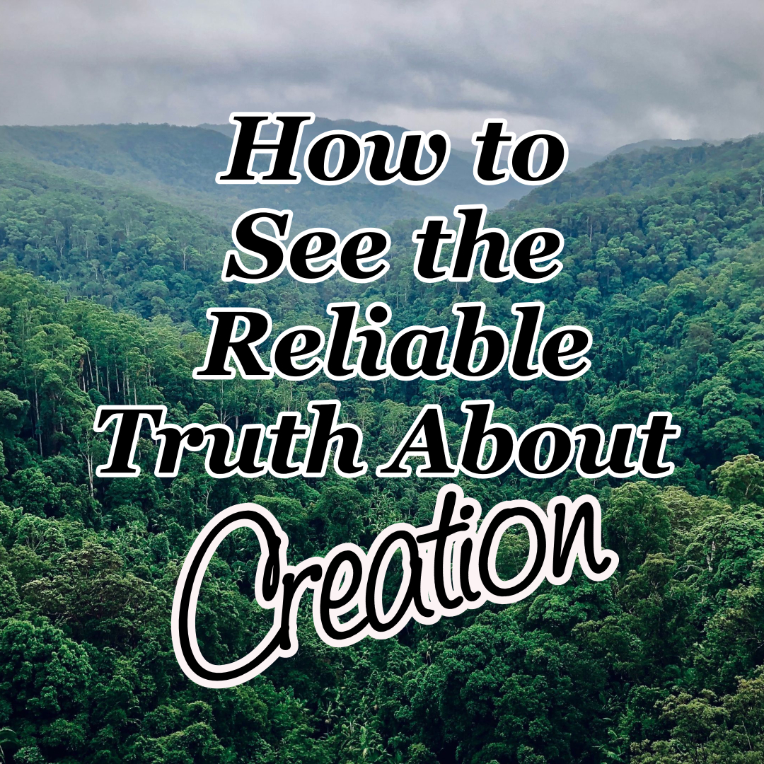 How to See The Reliable Truth About Creation - Counting My Blessings