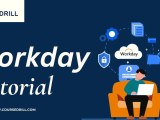 Workday Tutorial 1 Ultimate Guide For Beginners Coursedrill