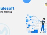 Mulesoft Training Master 1 Mulesoft Certification Coursedrill