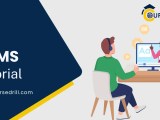 Comprehensive Dbms Tutorial Master 1 Database Management Today
