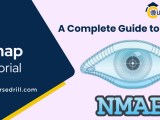 Nmap Tutorial Master Network Scanning Like A Pro 2025
