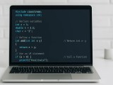C Programming Basics For Beginners