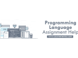 Programming Language Assignment Help Programming Help Experts