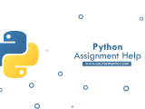 Python Assignment Help Help With Python Assignment