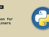 Python For Beginners Comprehensive Course To Master Python Basics Labex