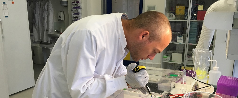 Center for Stem Cell Medicine (reNEW) | Copenhagen Bioscience PhD Programme