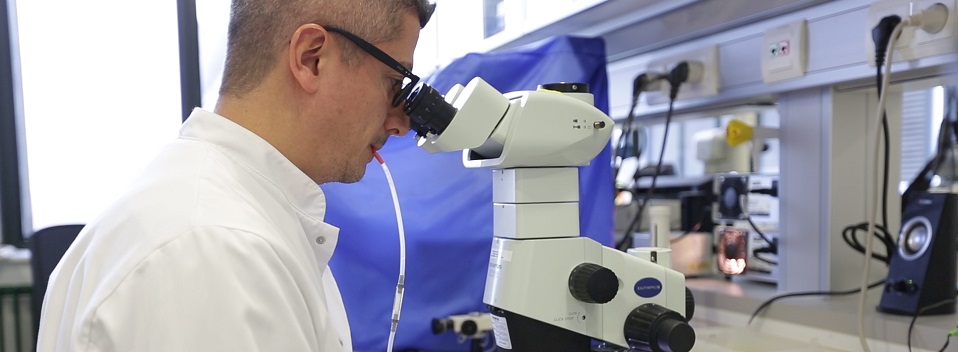 Havier | Copenhagen Bioscience PhD Programme