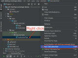 Cpit 251 Unit Testing And Code Coverage