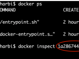 Docker Compose Setup Postgres With Pgadmin