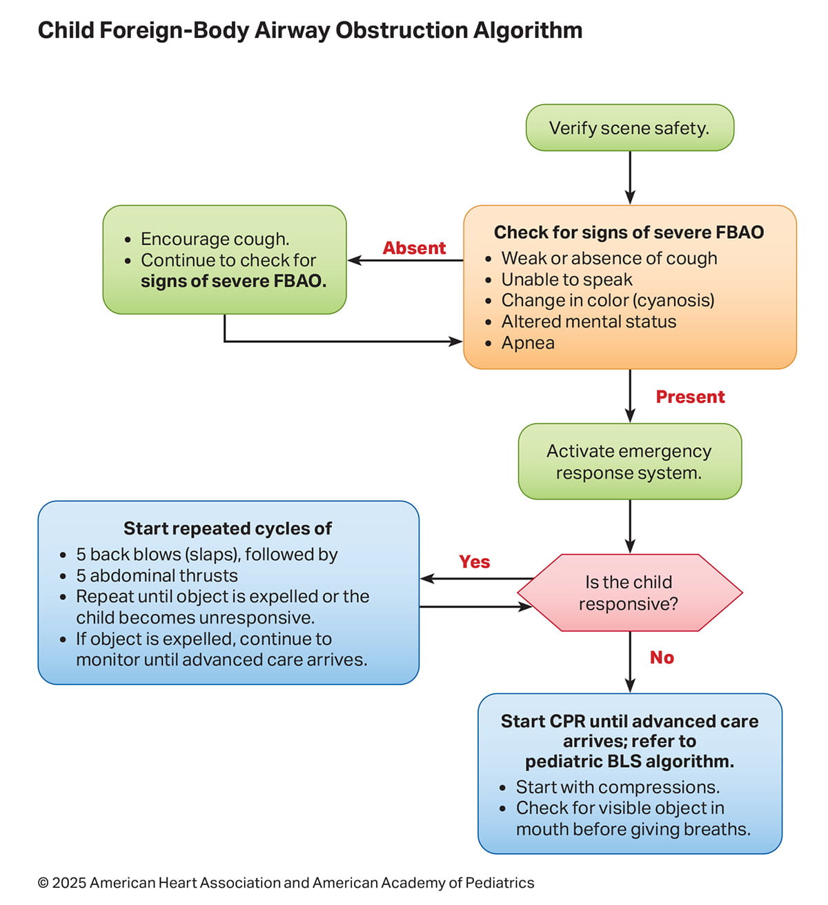 2025 Algorithms American Heart Association Cpr First Aid