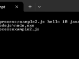 Node Js Process Example