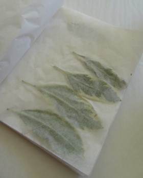 Leaf Note Book — CraftBits.com