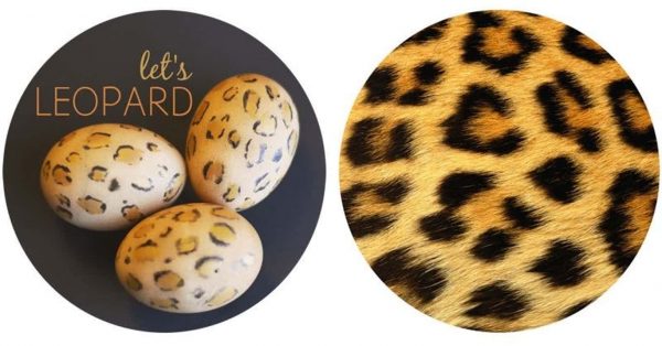 Lets Leopard – Easter Eggs — CraftBits.com