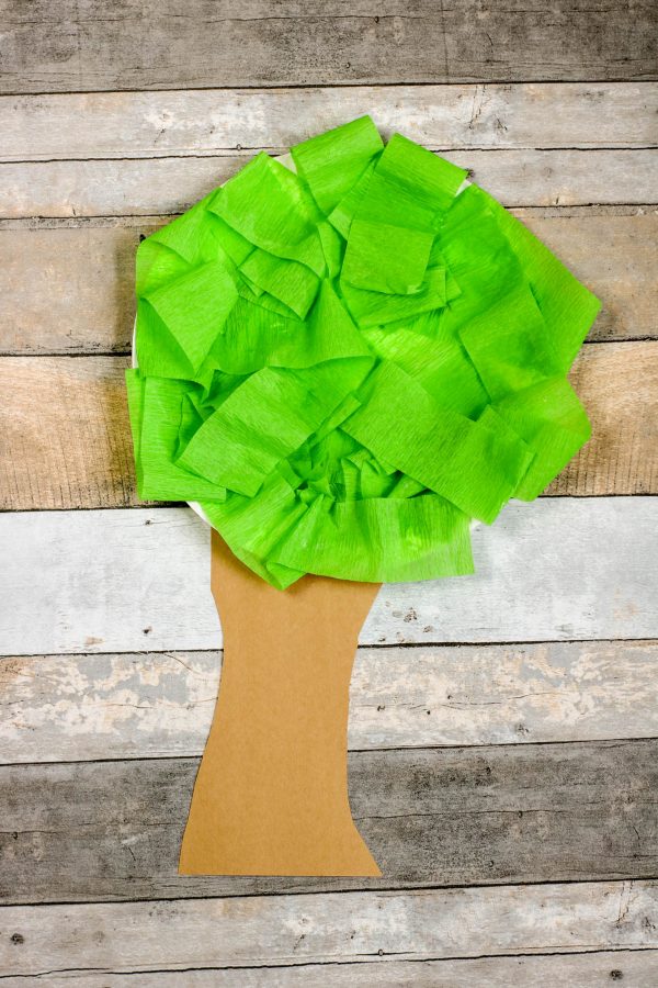 Tree Paper Plate Craft — CraftBits.com