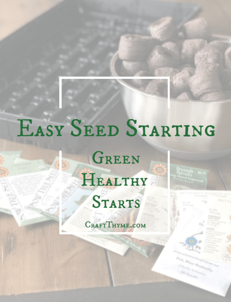 Easy Seed Starting – The Reaganskopp Homestead