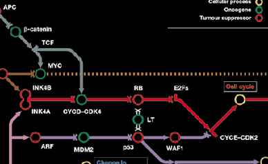 Cancer causes visualised as a subway map | Boing Boing