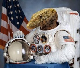 Lizard-humanoid photoshopping contest | Boing Boing