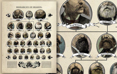 Hierarchy of Beards: the evolutionary history of face-fur - Boing Boing
