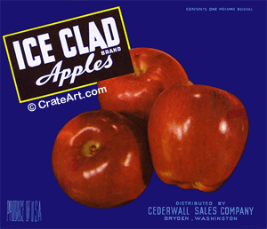 ICE CLAD (A) | Crate Art