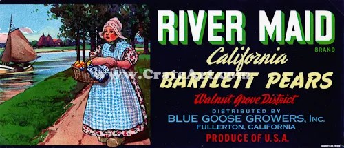 RIVER MAID (PL) | Crate Art