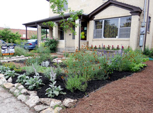 Ugly Garden Contest 2012 - cravedfw