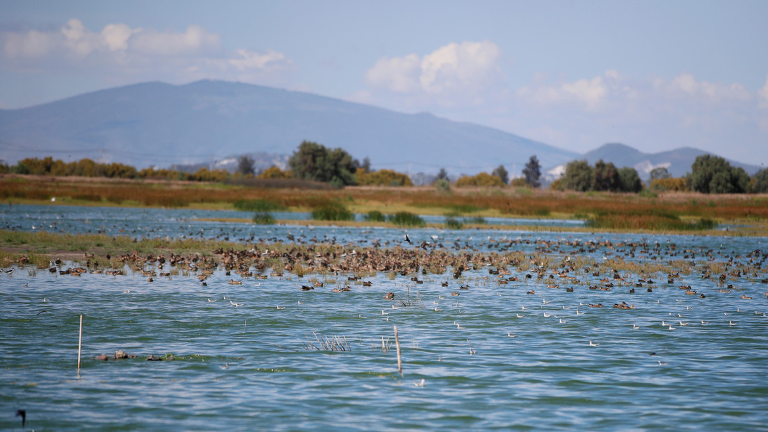 El lago de Texcoco es declarado como área natural protegida – CR ...