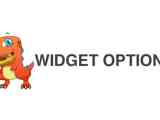 Extended Widget Options Create And Code