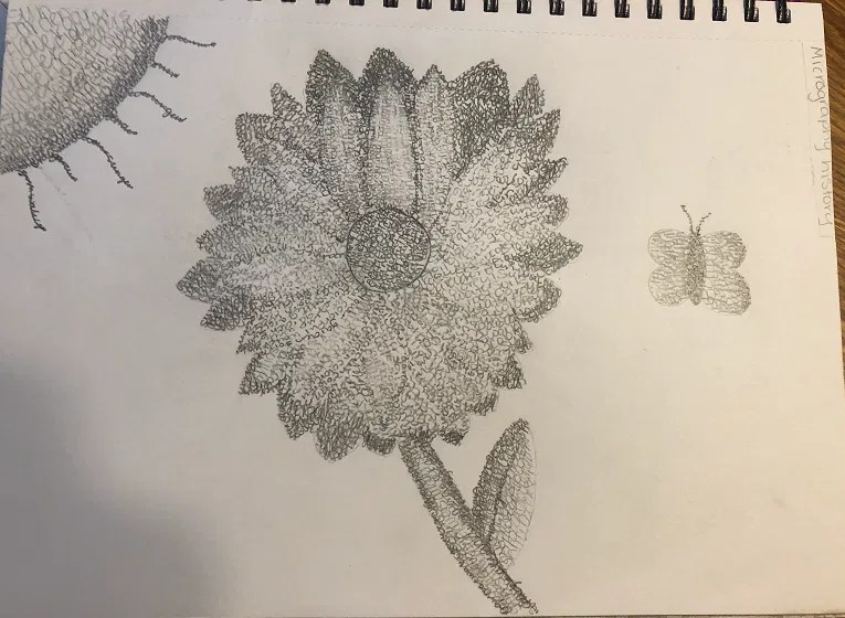 Kaylee Micrography Project - Create Art with ME