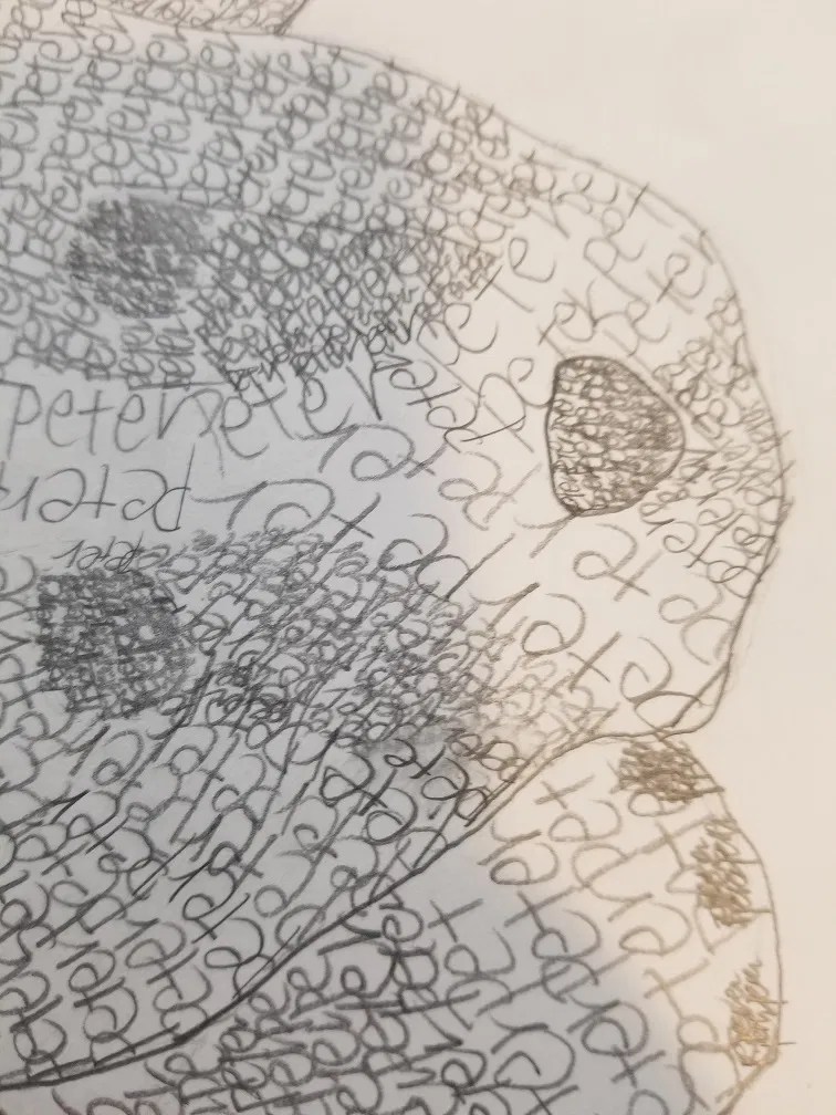 Peter Micrography Project 2 - Create Art with ME