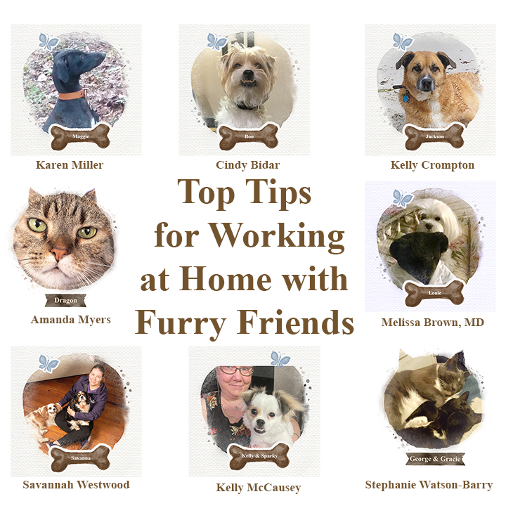 Top Tips for Working at Home with Furry Friends - CreateMeow