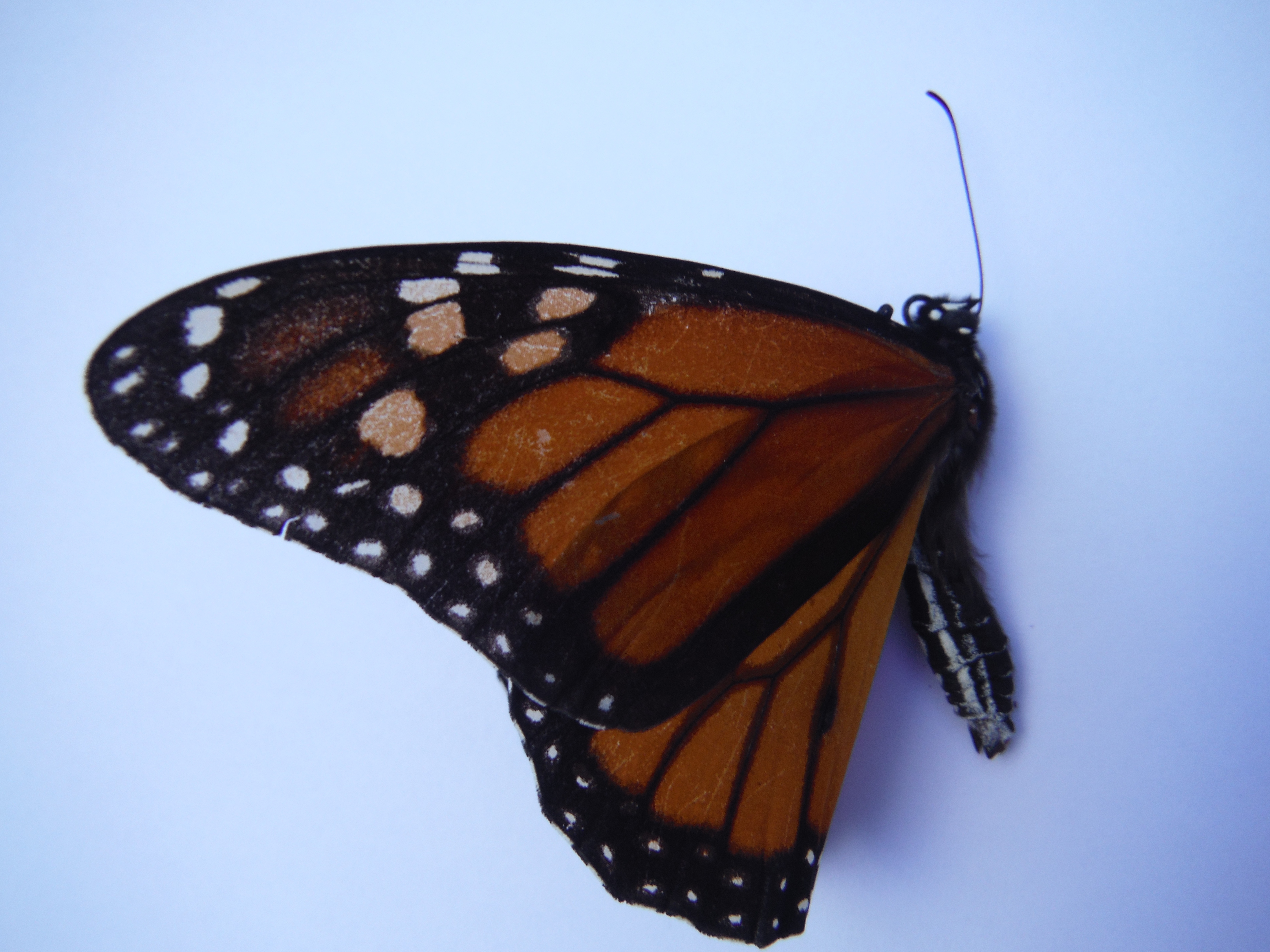 Keeping the Course – Creation Clues